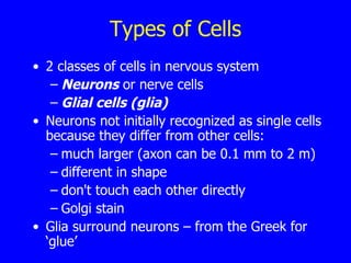 Cells of Nervous System | PPT
