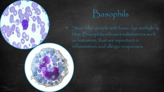 Cells of the immune system | PPT