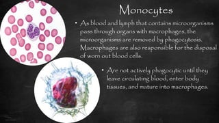 Cells of the immune system | PDF