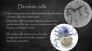 Cells of the immune system | PDF