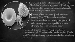 Cells of the immune system | PPT