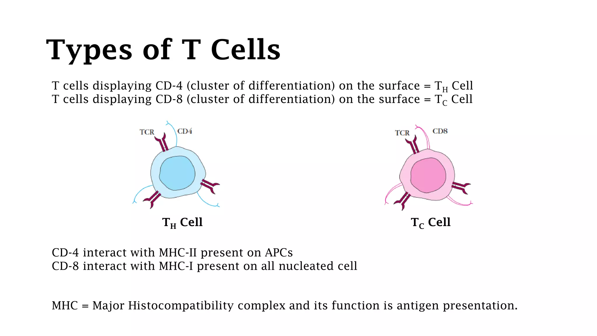 Cells of the immune system | PPT