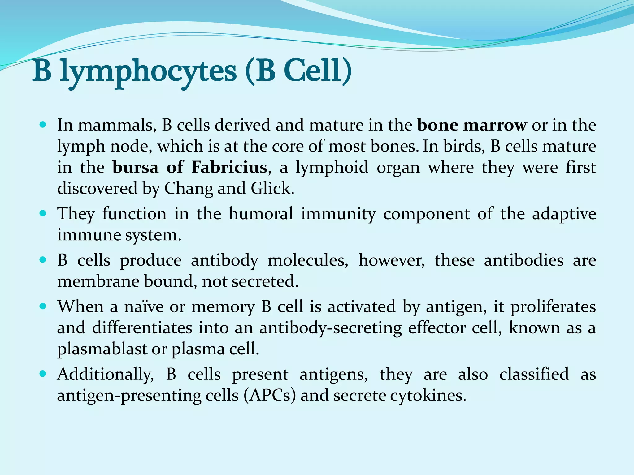Cells of the immune system | PPTX