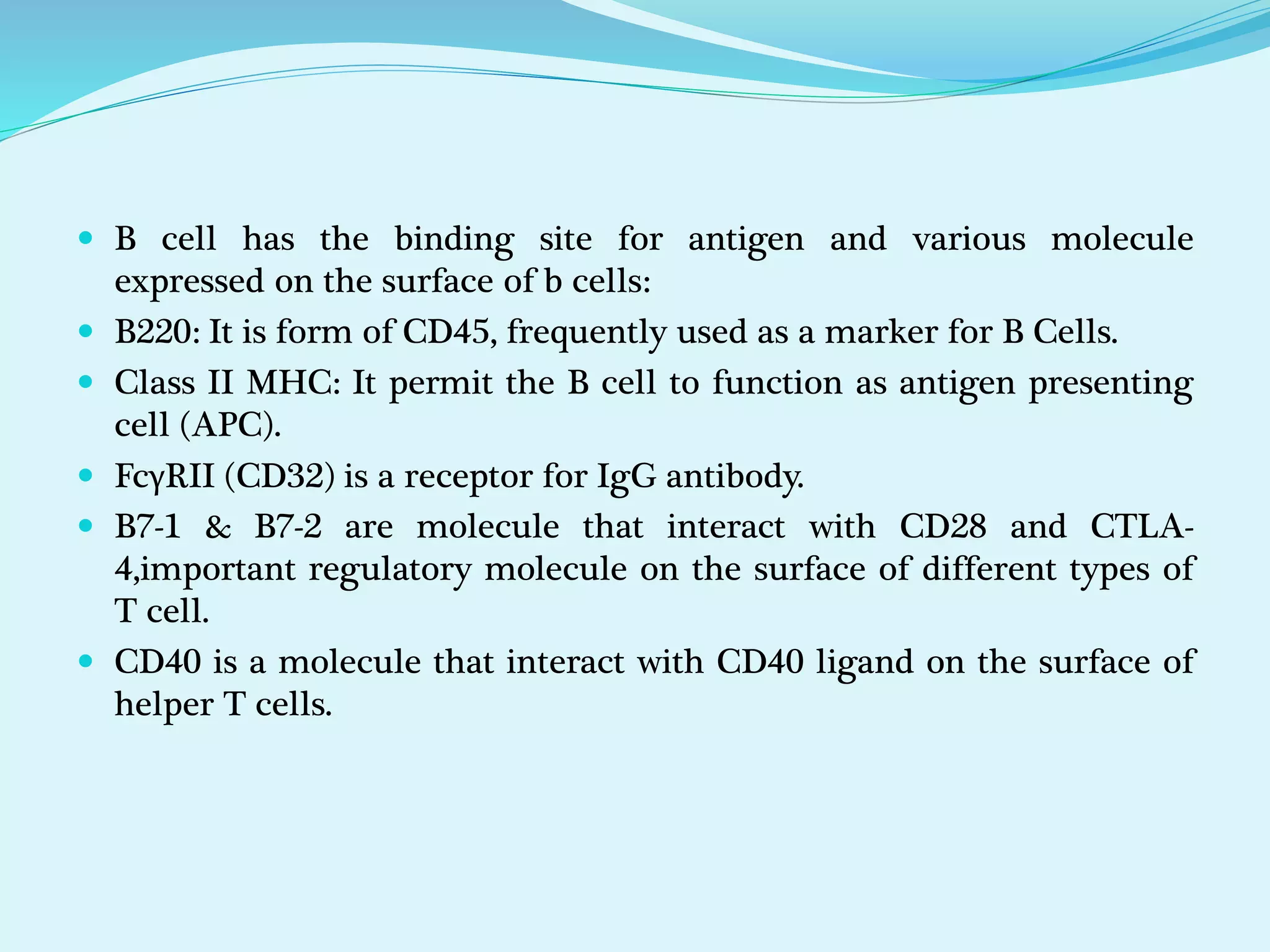 Cells of the immune system | PPTX