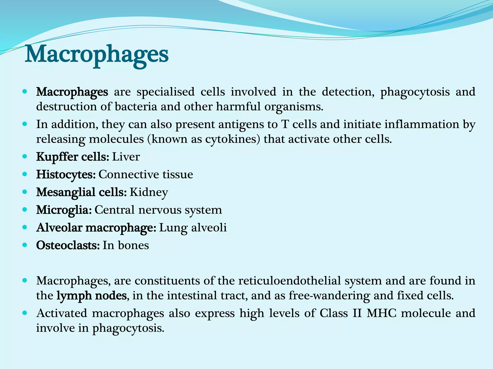 Cells of the immune system | PPTX