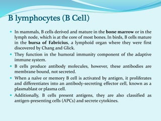 Cells of the immune system | PPTX