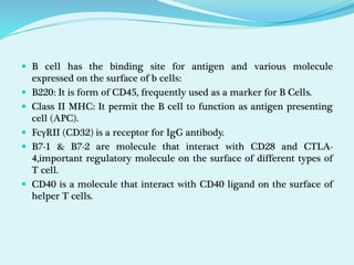 Cells of the immune system | PPTX