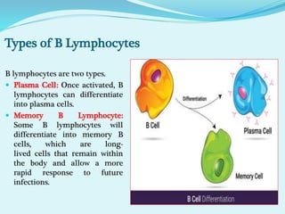 Cells of the immune system | PPTX