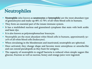 Cells of the immune system | PPTX