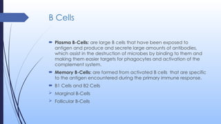 Cells of the Immune System (Sentinels of the Body's Defense) | PPTX