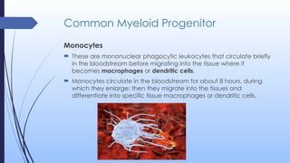 Cells of the Immune System (Sentinels of the Body's Defense) | PPTX