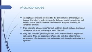 Cells of the Immune System (Sentinels of the Body's Defense) | PPT