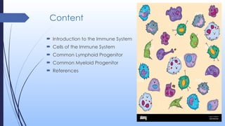 Cells of the Immune System (Sentinels of the Body's Defense) | PPTX