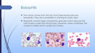 Cells of the Immune System (Sentinels of the Body's Defense) | PPTX