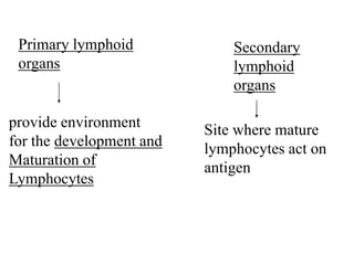 Cells of the immune system | PDF