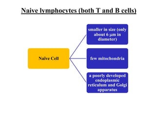 Cells of the immune system | PDF