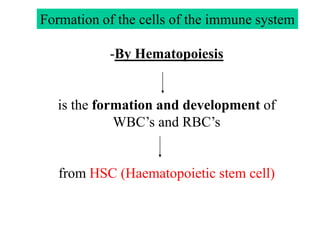 Cells of the immune system | PPT