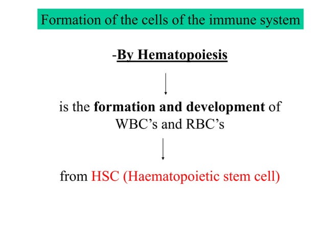 Cells of the immune system | PPT