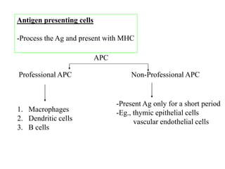 Cells of the immune system | PDF