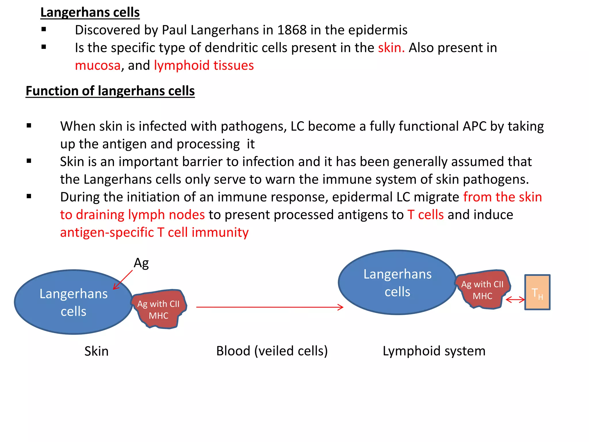 Cells of the immune system | PPT