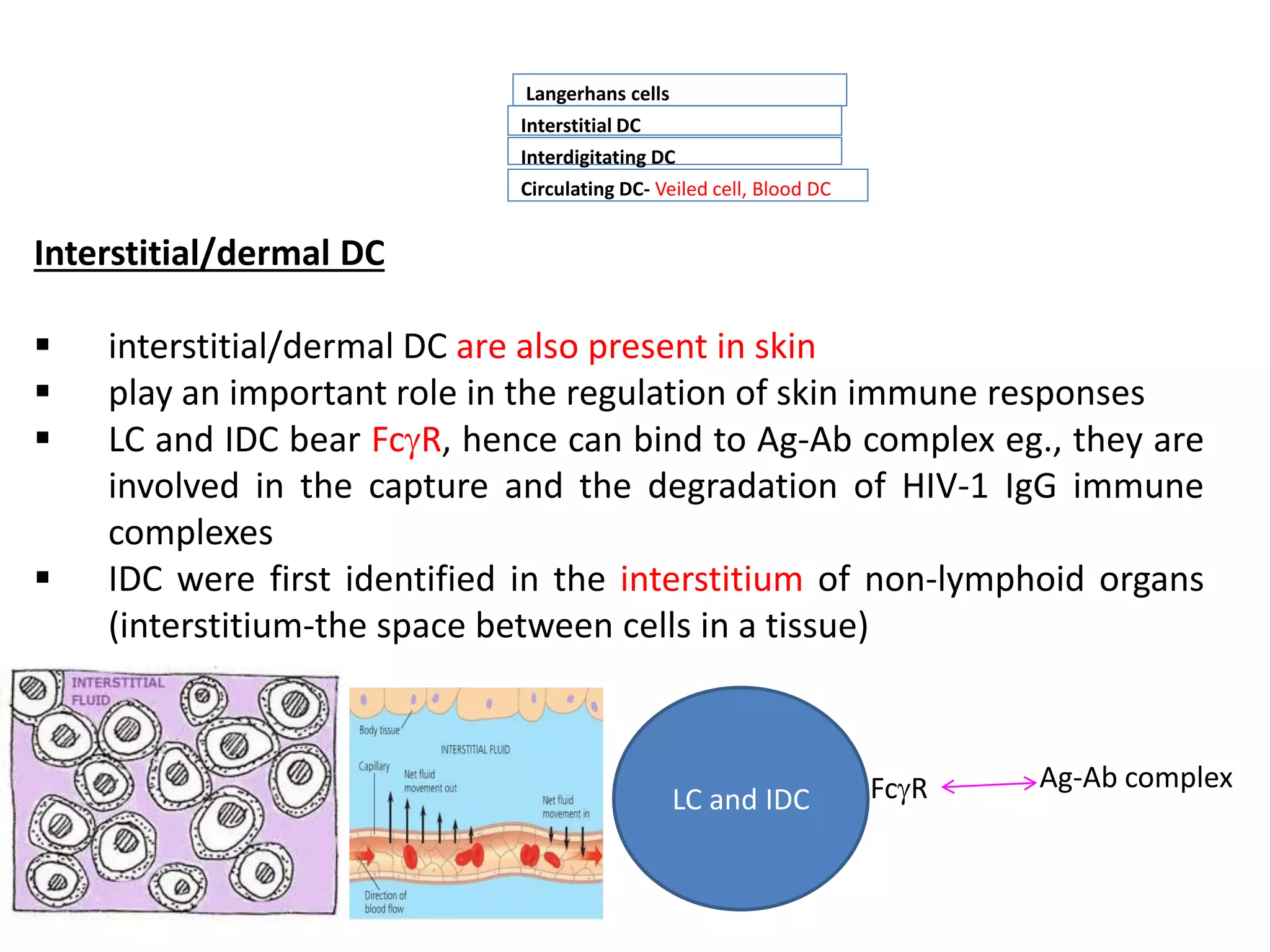 Cells of the immune system | PDF
