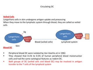 Cells of the immune system | PPT