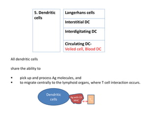 Cells of the immune system | PPT