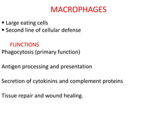 Cells of the Immune system Mir Maisar.pptx