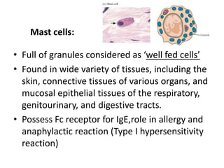 Cells of the Immune system Mir Maisar.pptx