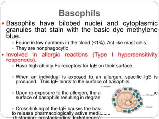 Cells of the immune system ppt | PPTX