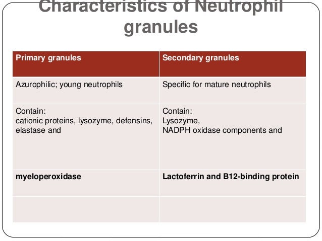Cells of the immune system ppt