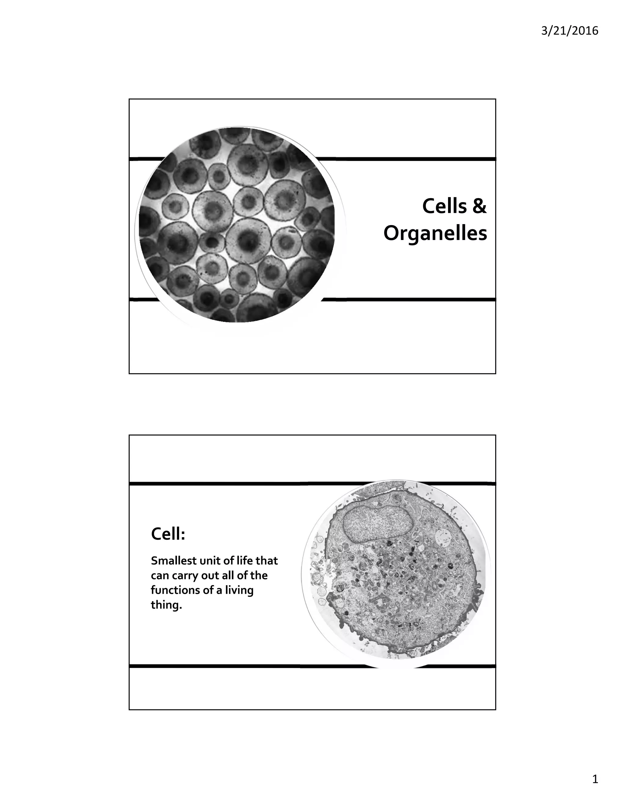 cells & organelles complete.pdf