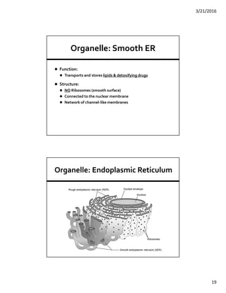 cells & organelles complete.pdf