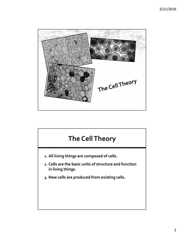 cells & organelles complete.pdf