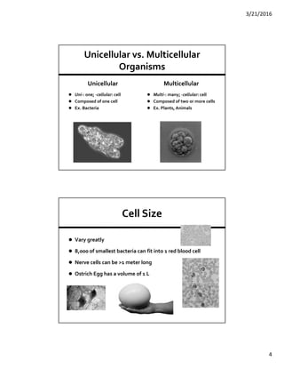 cells & organelles complete.pdf