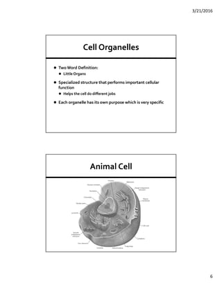 cells & organelles complete.pdf