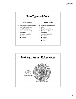 Eukaryotic Cell Structure Worksheet