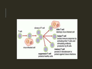 Cells & organs of immune system | PPTX