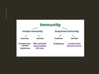 Cells & organs of immune system | PPTX