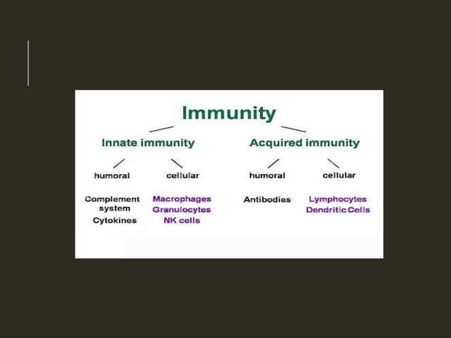 Cells & organs of immune system | PPT