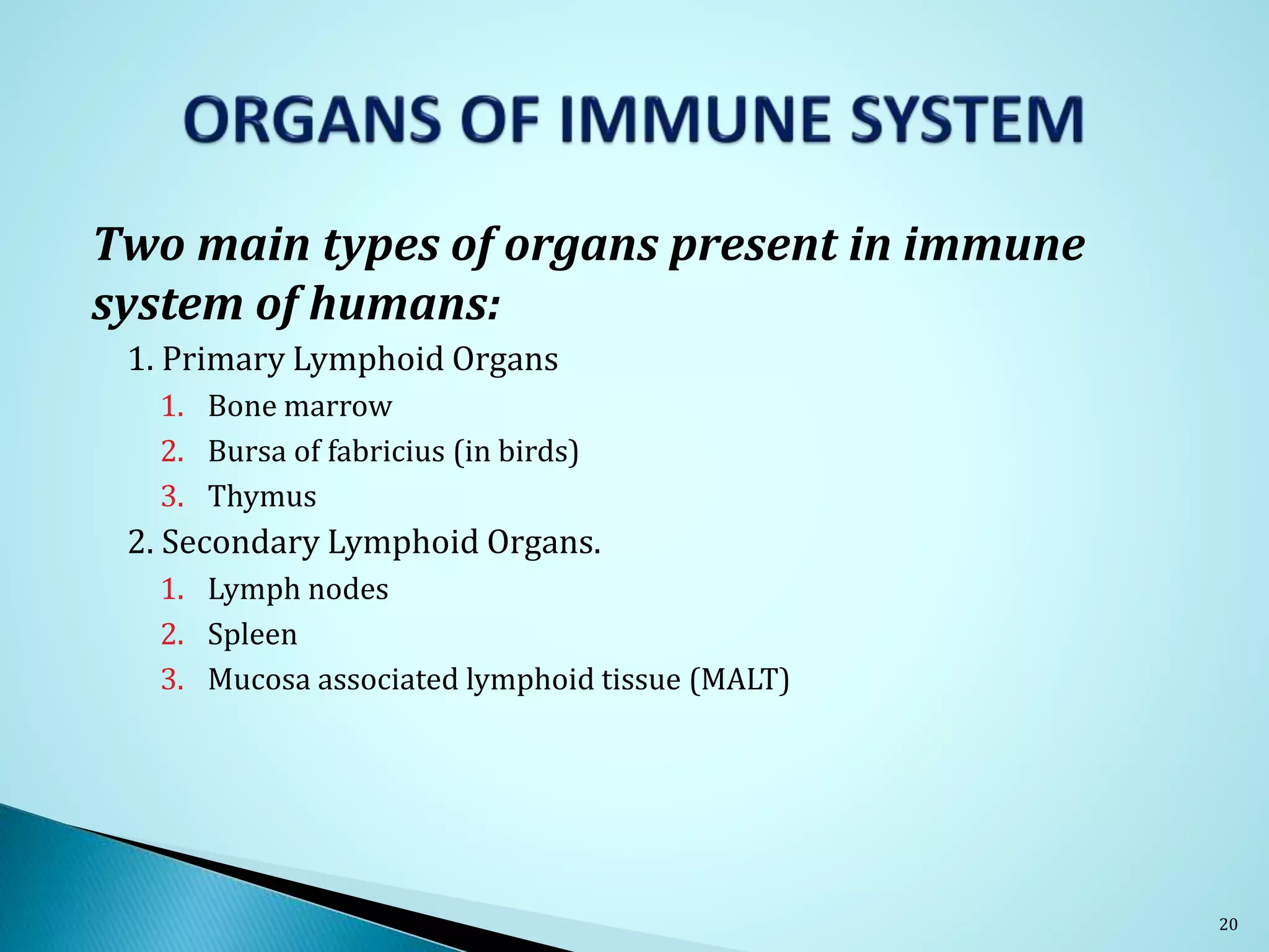 Cells & organs of immune system | PPTX