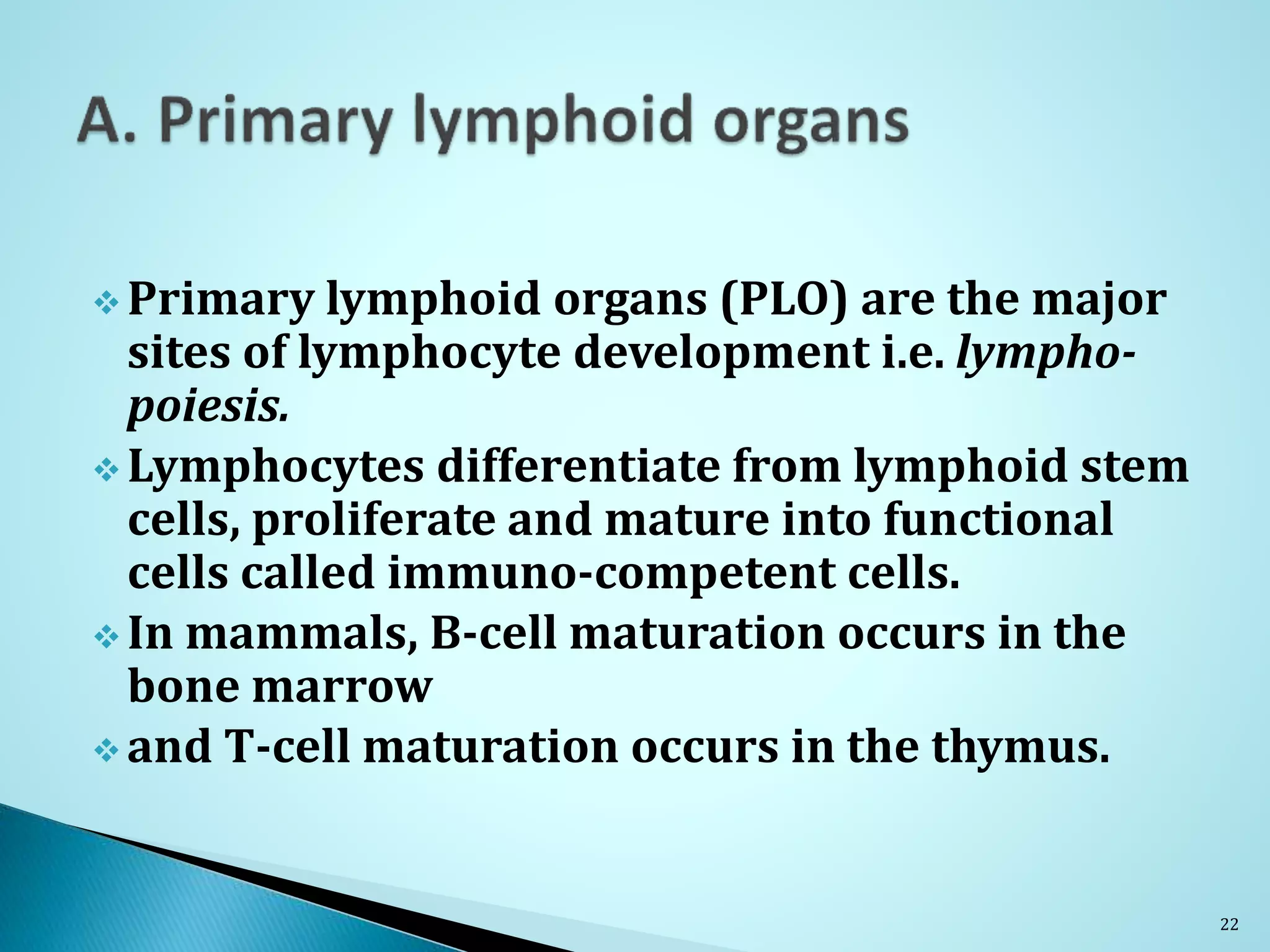 Cells & organs of immune system | PPTX
