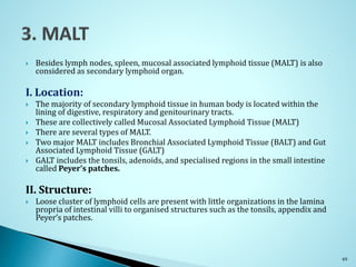 Cells & organs of immune system | PPTX