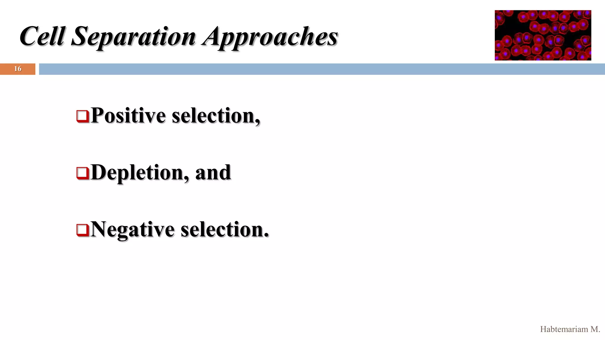 Cell Sorting Techniques | PPTX