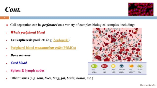 Cell Sorting Techniques | PPTX | Genetics | Science