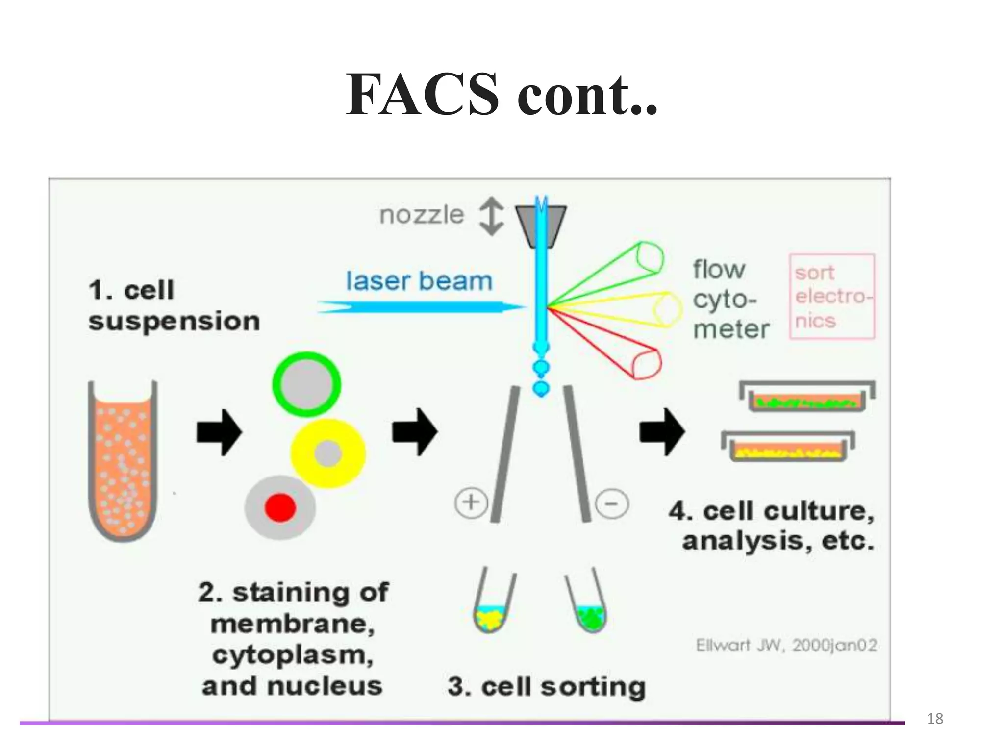 Cell sorting .pptx