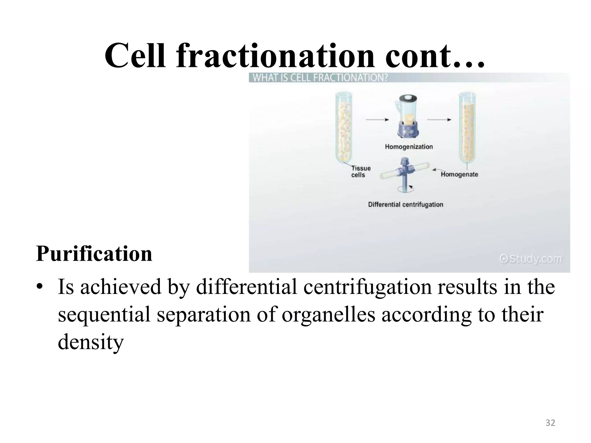 Cell sorting .pptx