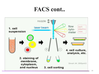 Cell sorting .pptx