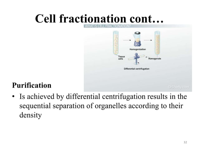 Cell sorting .pptx | Biological Sciences | Science