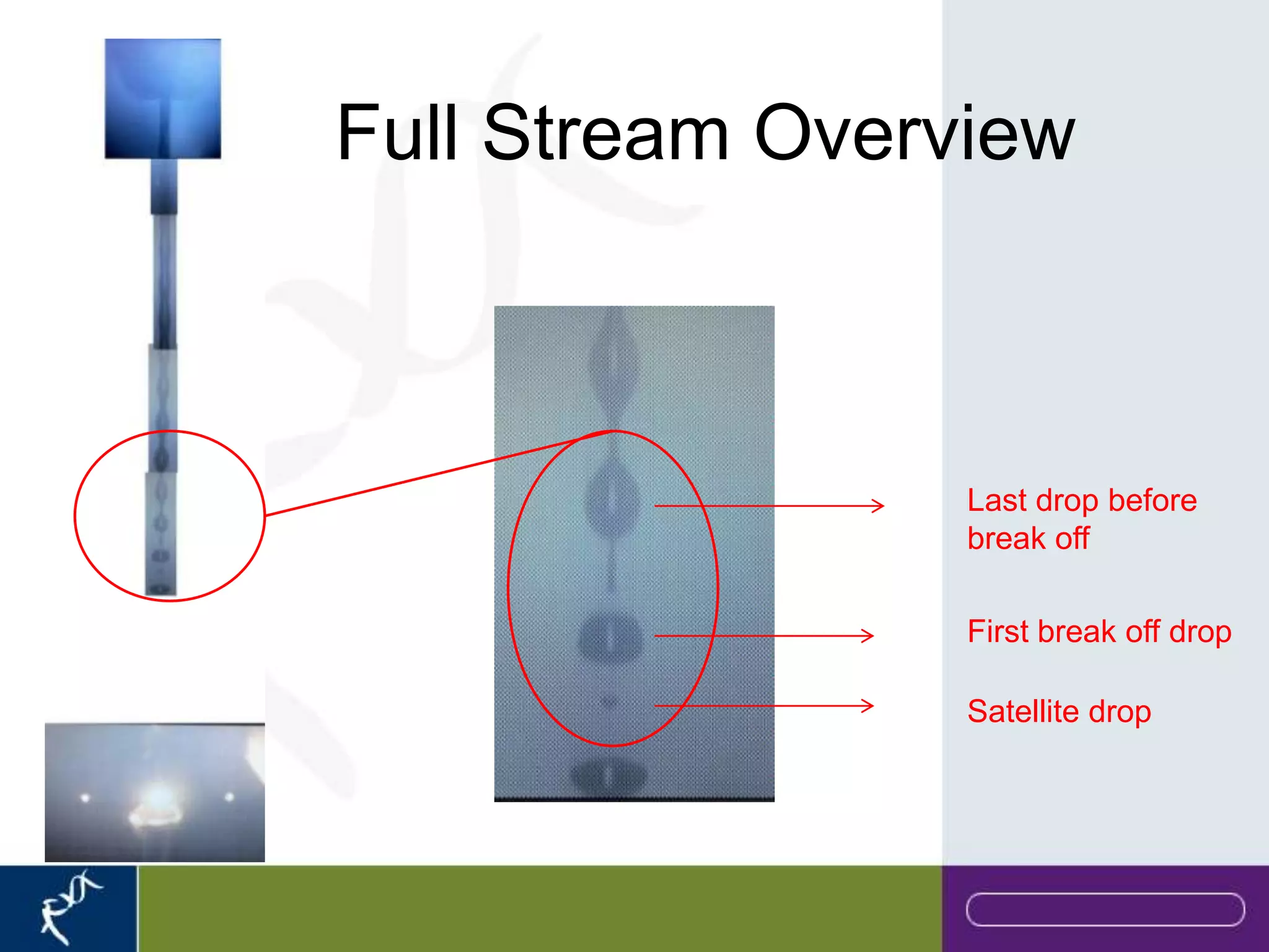 Cell Sorting _Flow Cytometry | PPS